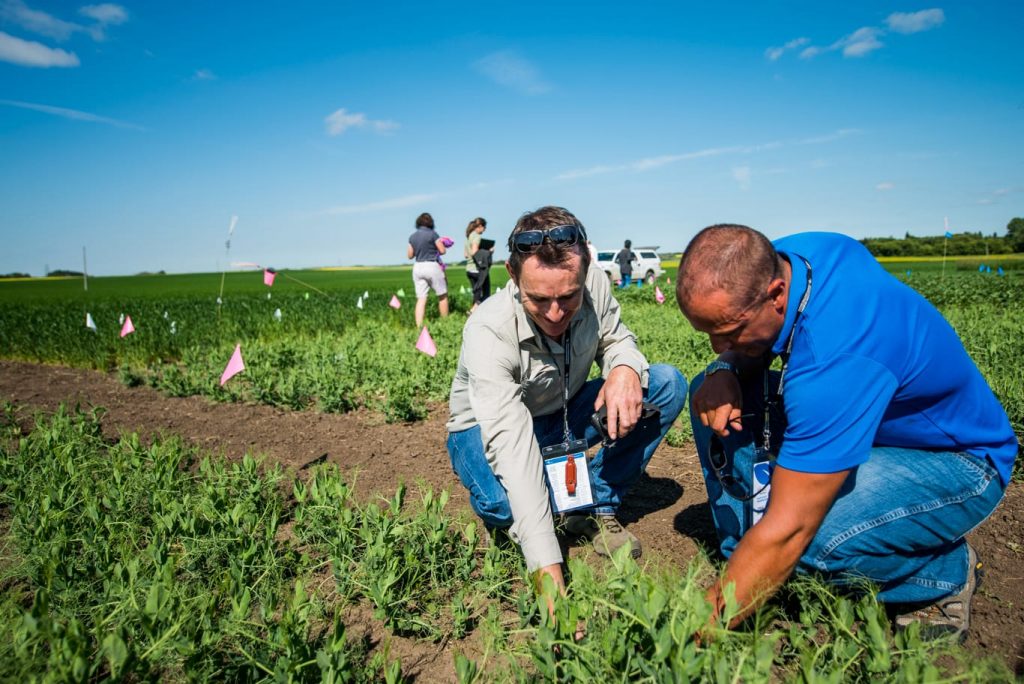 Stewardship - Fertilizer Canada