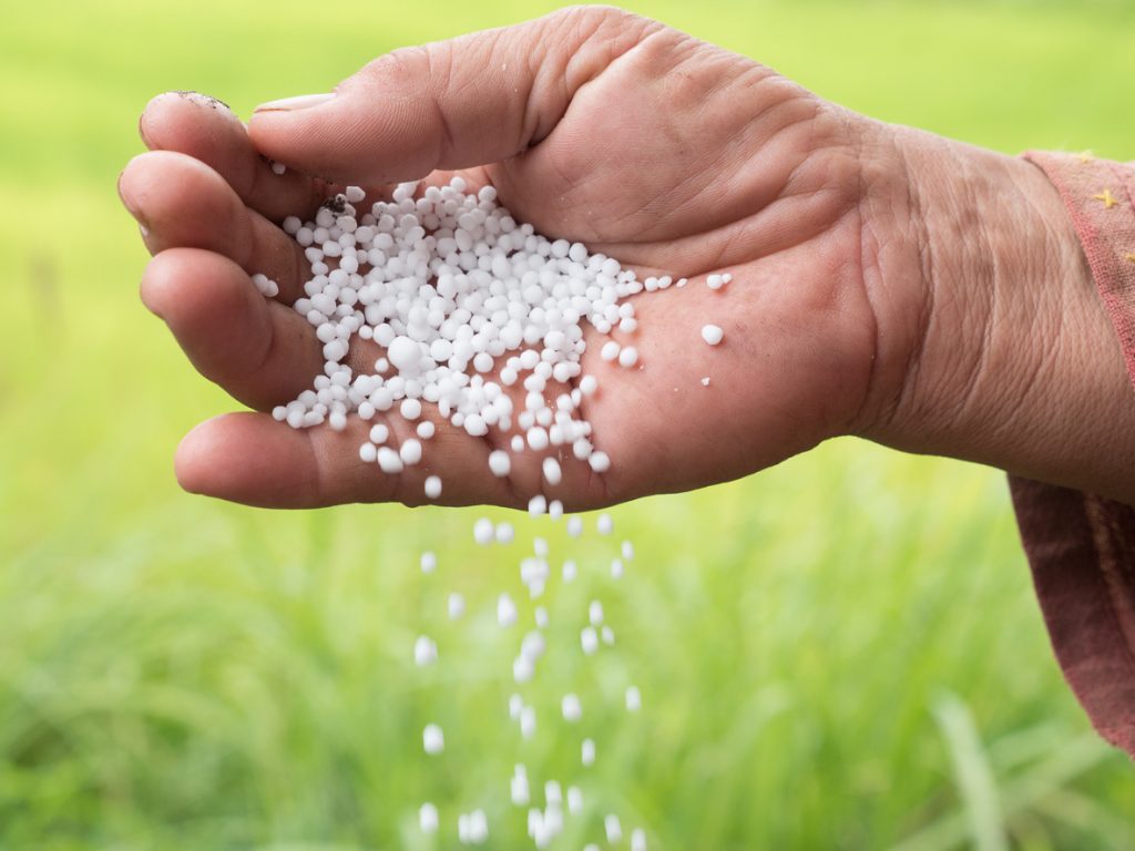 Ammonium Nitrate and Calcium Ammonium Nitrate - Fertilizer Canada
